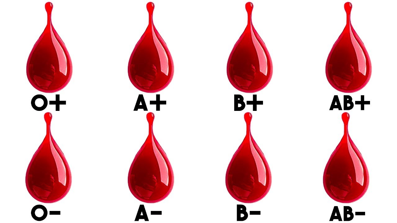 Every Hidden Advantage of Your Blood Type Explained