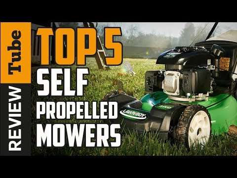 ✅Lawn Mower: Best lawn mower (Buying guide)