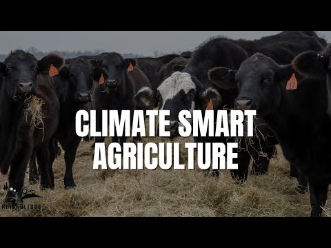 Climate Smart Agriculture: USDA/NCRS registration tips
