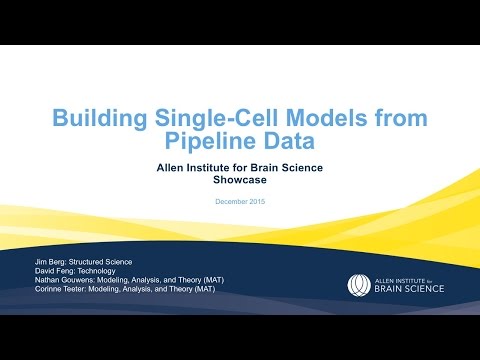 Showcase 2015: Team Talk - Building Single-Cell Models from Pipeline Data