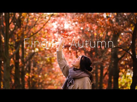 Cinematic Vlog in New York | Brooklyn Botanical Garden