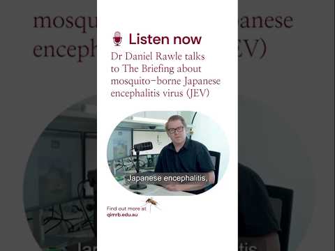 LISTEN 🎧 Dr Daniel Rawle on the rising threat of Japanese Encephalitis Virus (JEV) in Australia