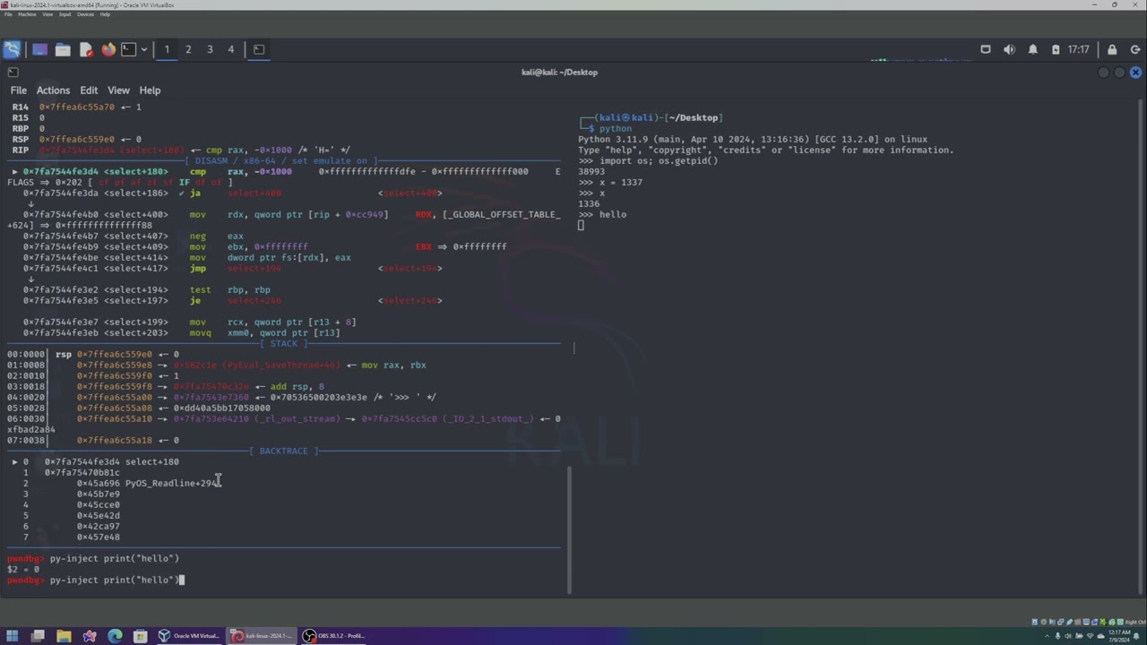 Injecting python code with py-inject
