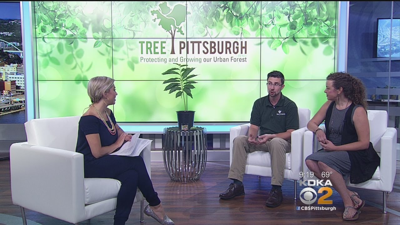 Arbor Aid To Benefit Tree Pittsburgh