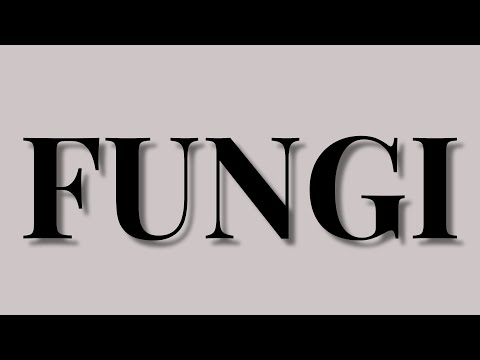 How to Pronounce Fungi in English