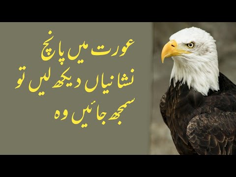One of the great virtues of grief is that it softens a person and I amazing best urdu quotes l
