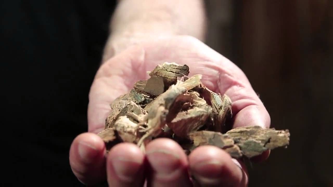 MIBRASA Monday: Meet the Chef