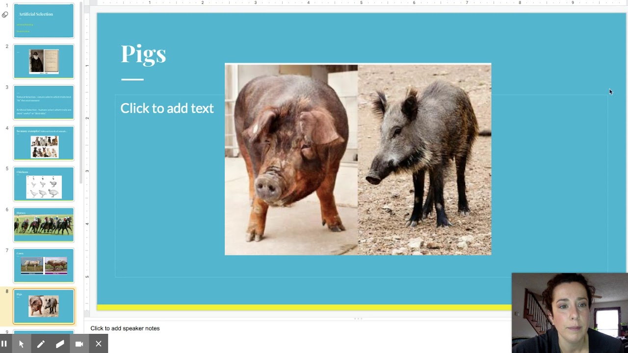 Artificial Selection - Google Slides