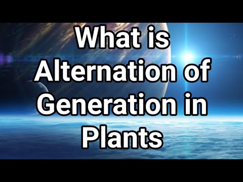 What is Alternation of Generation in Plants. Urdu/ English