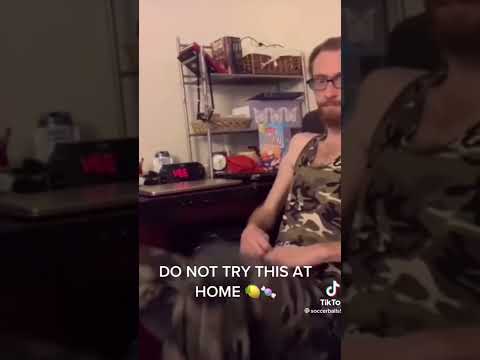 Alpha male status