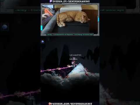 No Witnesses, Snowman | Noita with the Cats