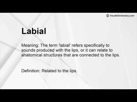 Labial Meaning