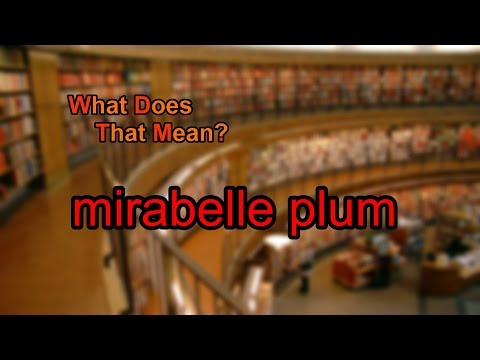 What does mirabelle plum mean?
