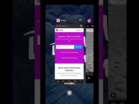 Cómo descargar videos de instagram?