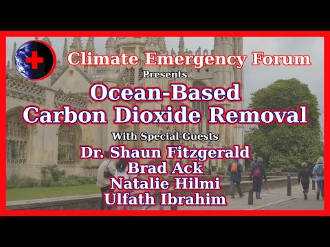 Ocean-Based Carbon Dioxide Removal
