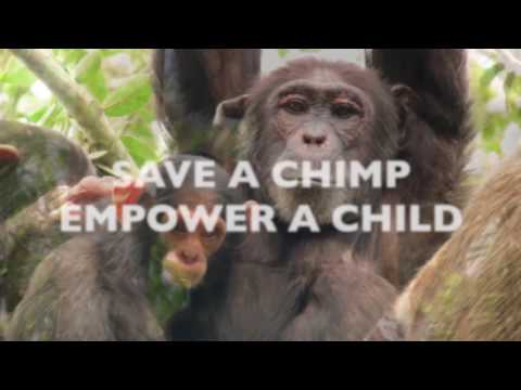 Conserving Chimpanzees and Natural Forest in Rural Uganda