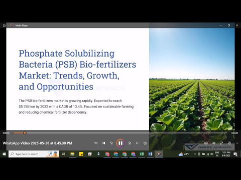 Phosphate Solubilizing Bacteria Bio-fertilizers Market:-Verified Research Insights