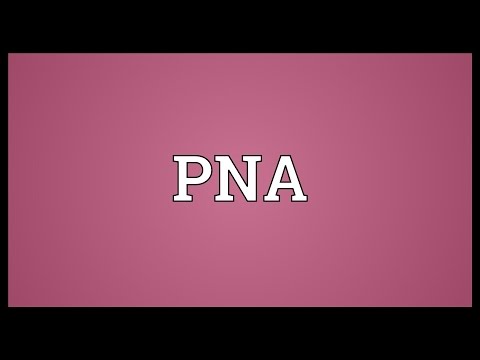 PNA Meaning