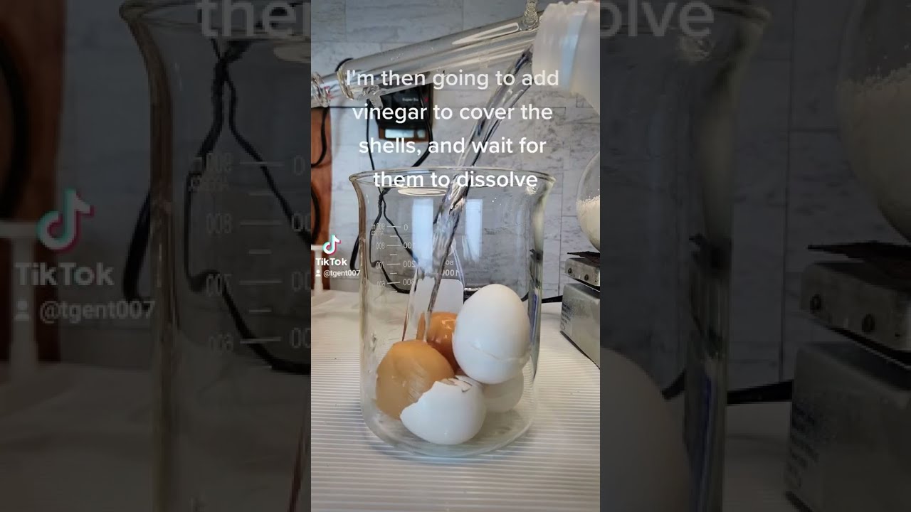 Calcium Acetate from eggshells (short version)