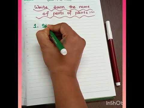 Parts of Plants || Science Worksheet || Class 1 #worksheet #science #plants #parts #class1st #name