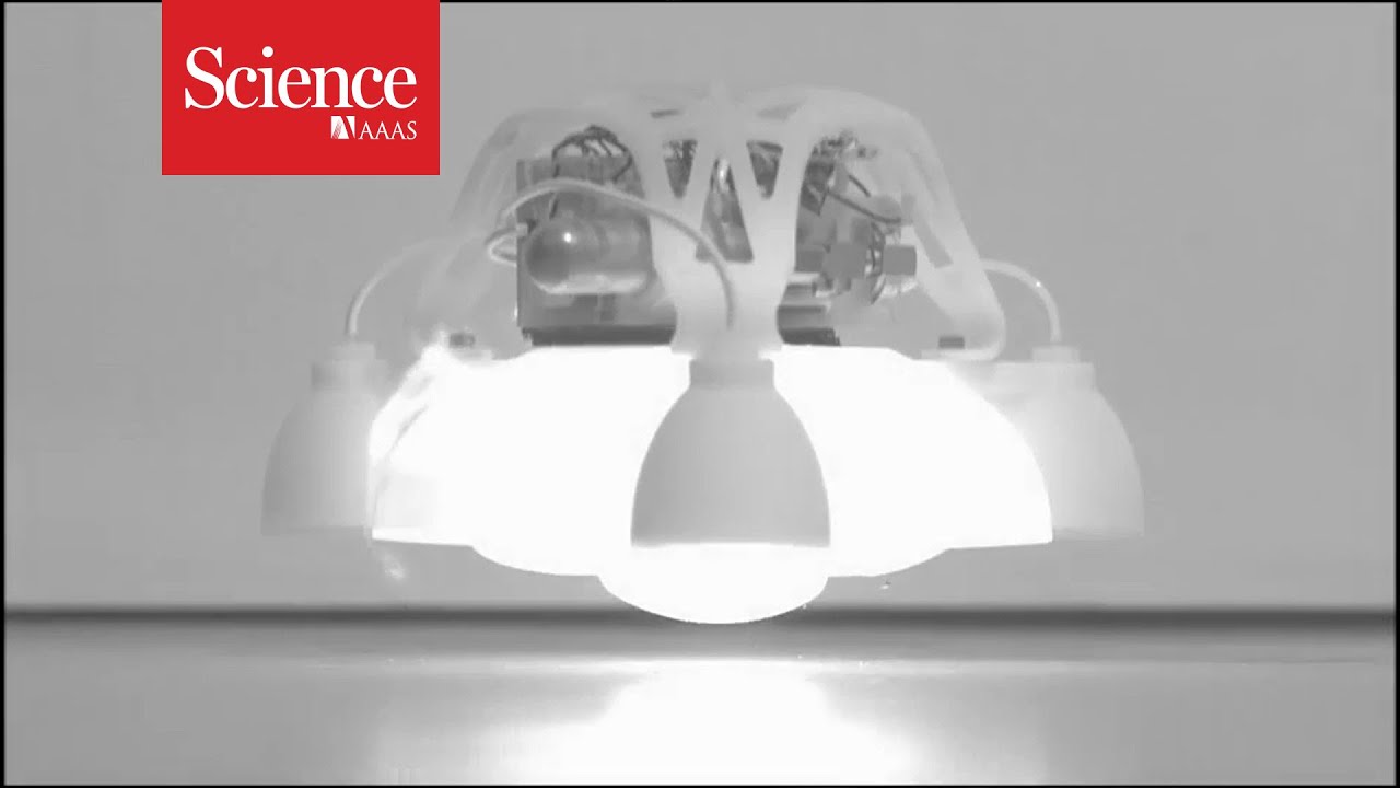 Soft robots powered by combustion