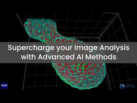 Supercharge your Image Analysis with Advanced AI Methods