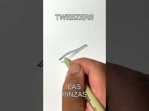 Learn Spanish! ¡Aprenda Inglés! TWEEZERS : LAS PINZAS