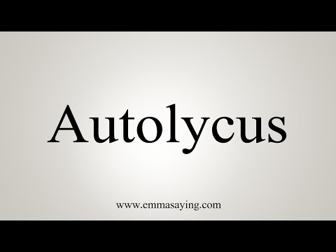 How To Say Autolycus