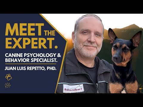 Meet the Expert: Welcome to Online Dog School