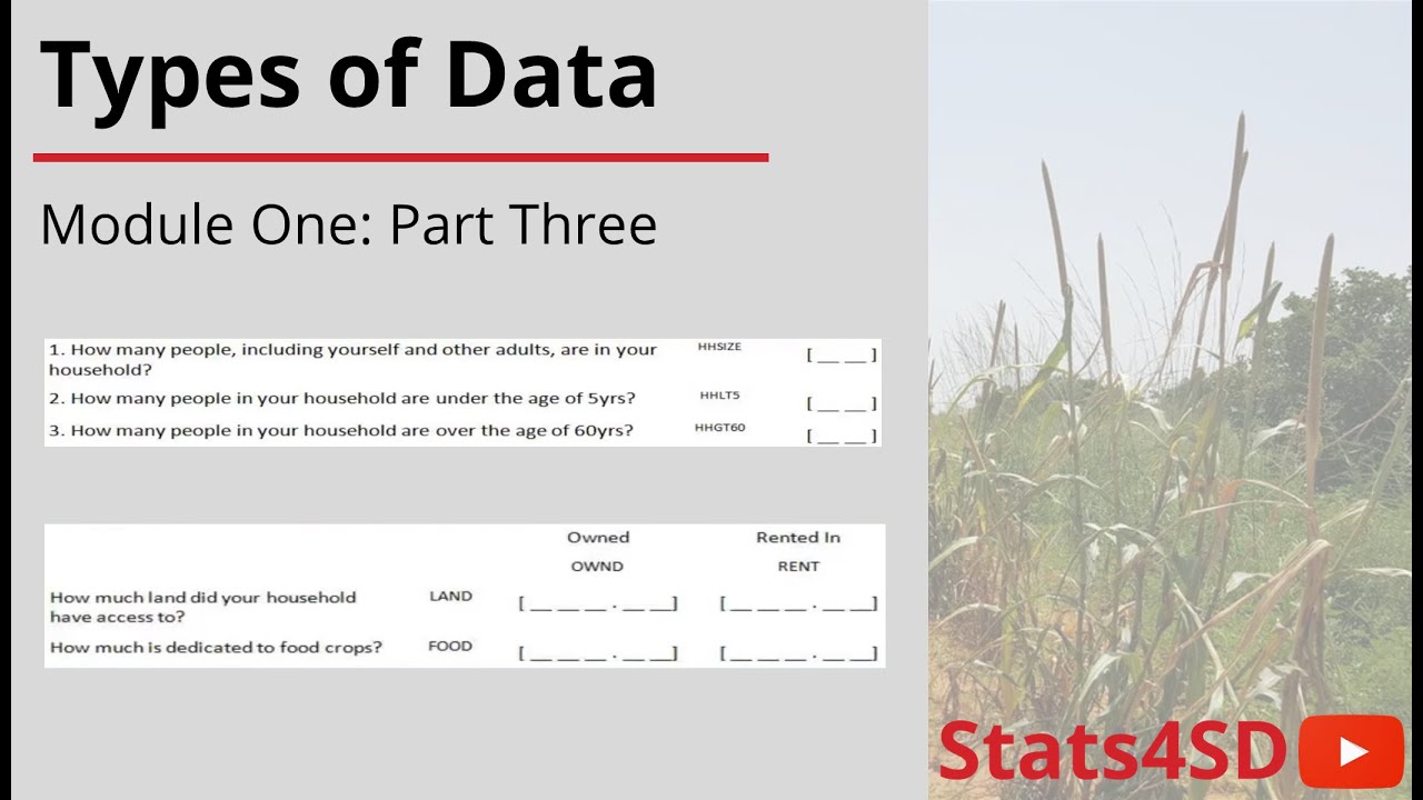Data Management: Types of Data