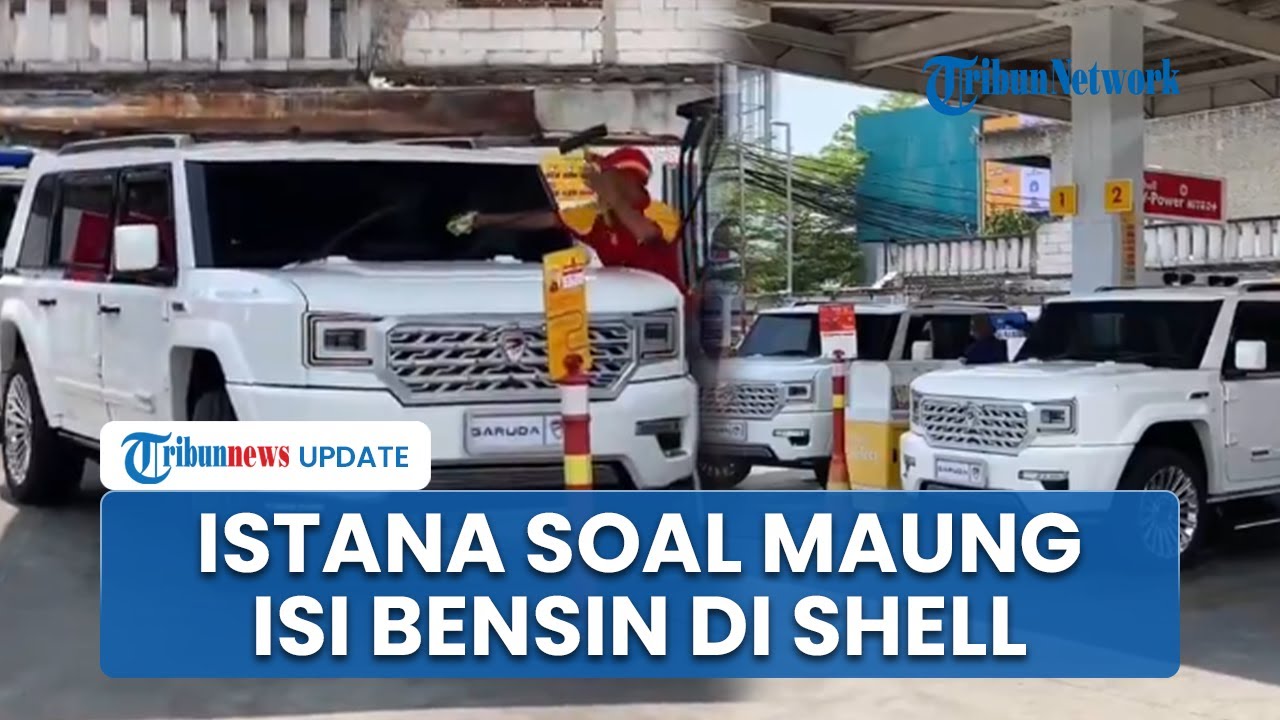 Istana Buka Suara soal Video Viral Maung Isi Bensin Shell saat Skandal ...