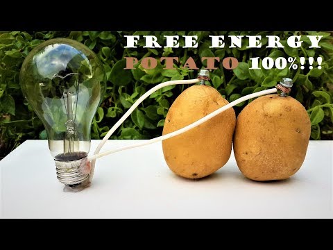 Free Energy Light Bulbs - 220v using Potato