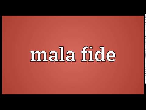 Mala fide Meaning | Wordogram