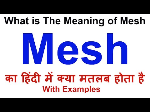 Mesh Meaning in Hindi | Mesh Definition | Mesh Ka Matlab Kya Hota Hai | Mesh in Hindi
