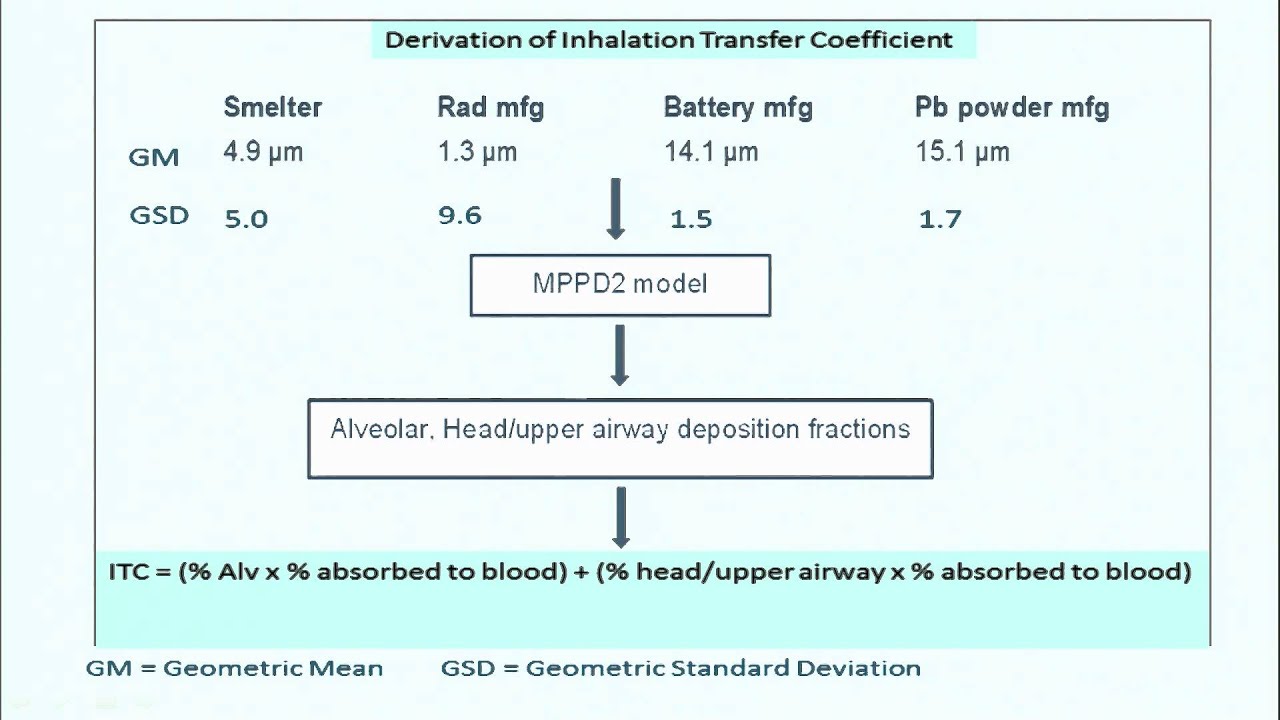 Pharmacokinetic Modeling of Air Lead and Blood Lead Level Relationship