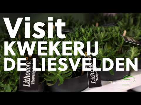 Vistit Kwekereij de Liesvelden at the Social Trade Fair 2021