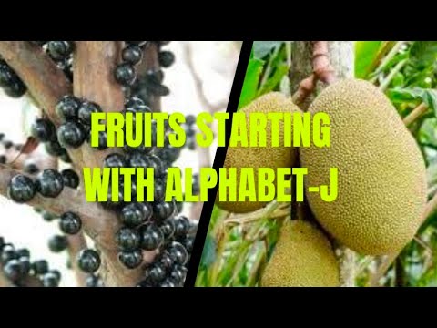 Fruits starting with the Alphabet-J/J-Fruits/Scientific names of Fruits
