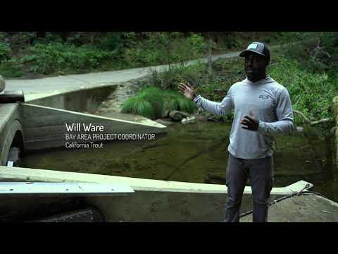 Pescadero & Butano Creek Fish Tracking Project: Fish Tracking Tech