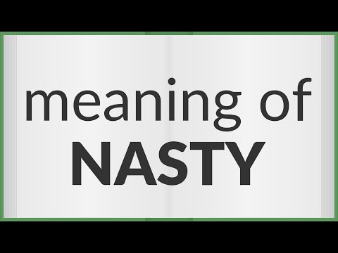 Nasty | meaning of Nasty
