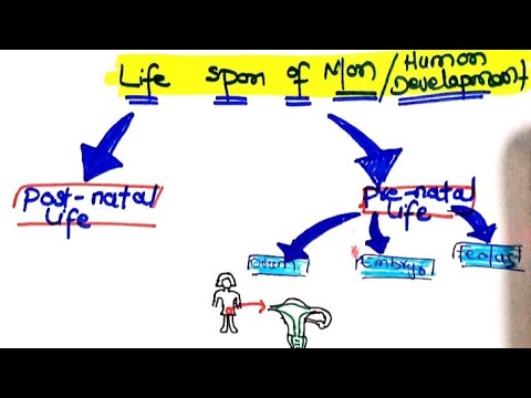 Life span of man / Human development (urdu/hindi)