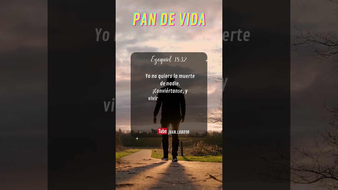 Pan de Vida 🍞✨ | Alimenta tu Espíritu con la Palabra de Dios 🙏