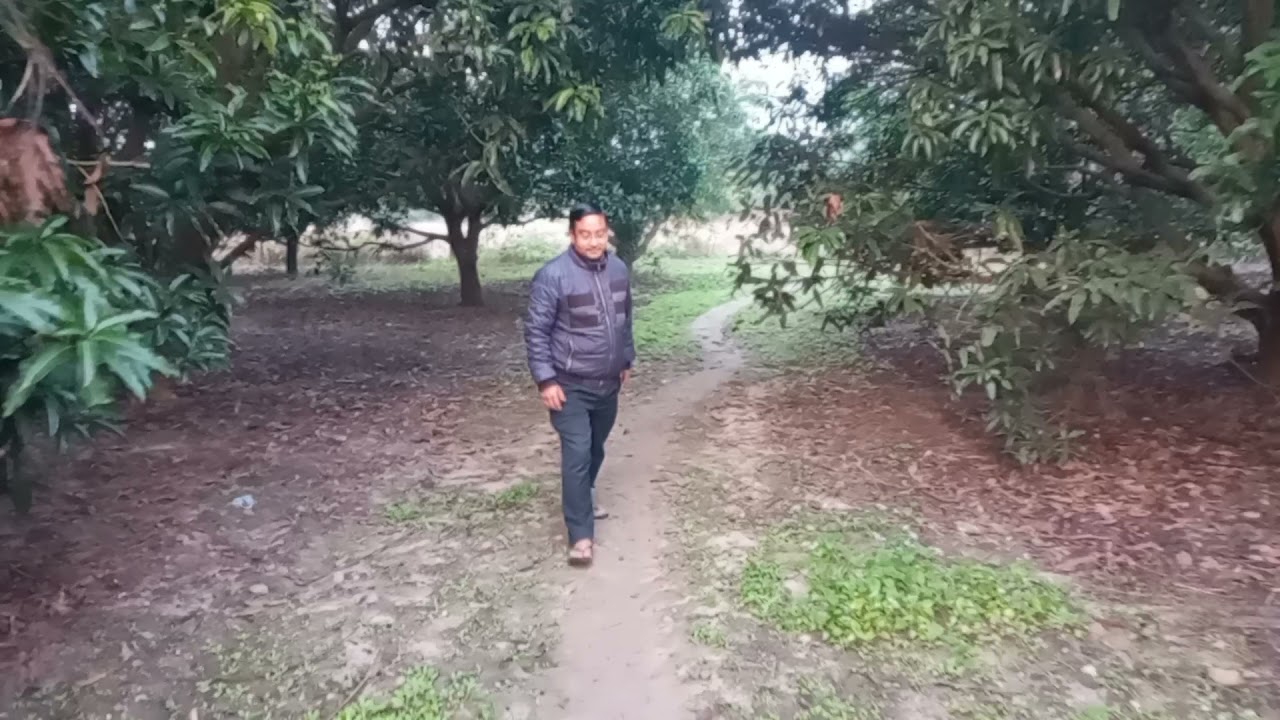 Dev and Shree Krishna