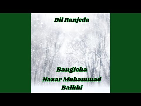 Dil Ranjeda (feat. Nazar Muhammad Balkhi)