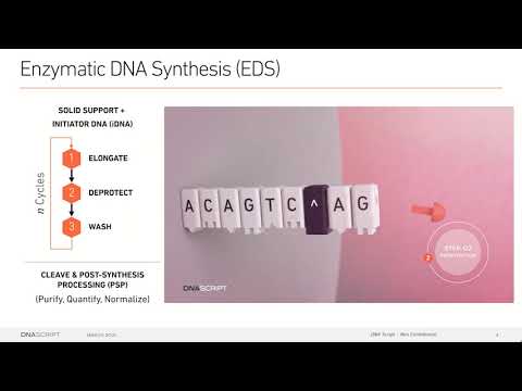 Benchtop Enzymatic DNA Synthesis Delivers On-Demand Oligos Enabling Same-Day Results
