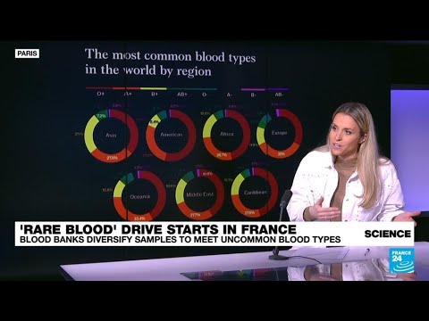 Rare blood types and the need for blood banks to diversify samples • FRANCE 24 English