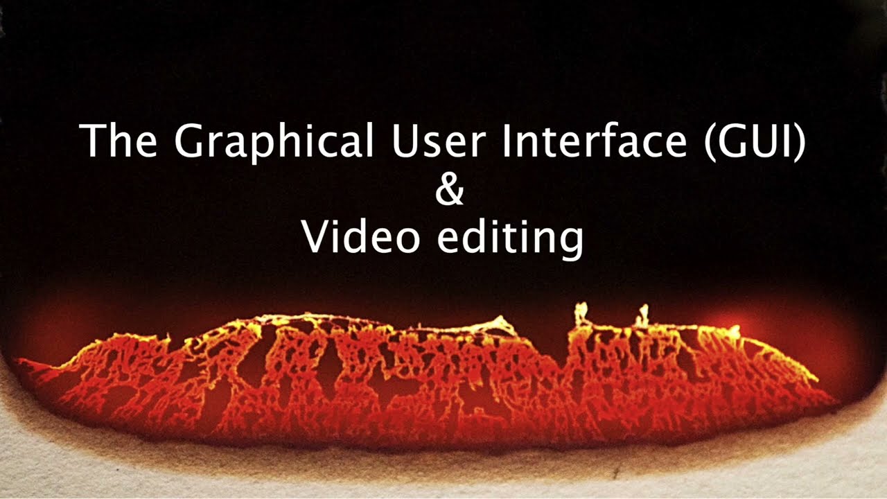 Flame Tracker v1.2.0: User interface and video editing