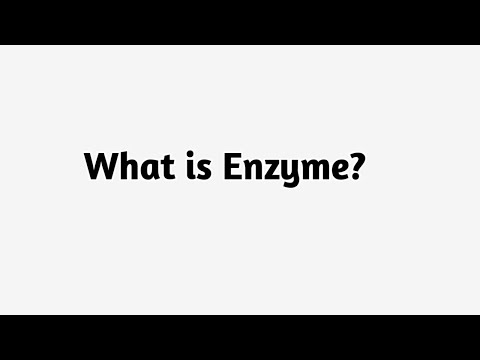 What is Enzyme ?