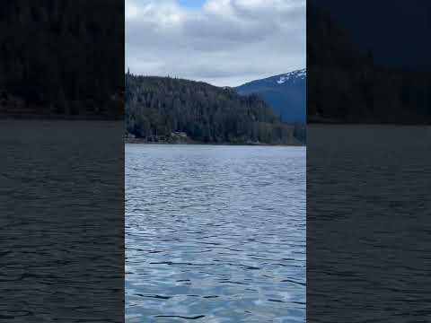 Somewhere in Juneau, AK