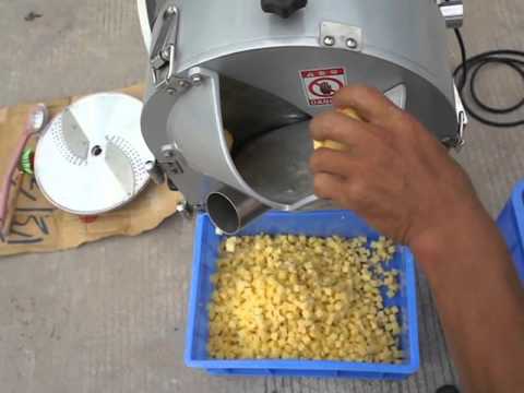 Potato carrot dicing machine SH 100