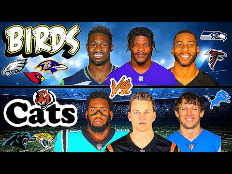 The NFL...But It's Bird Teams Vs. Cat Teams!